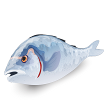 Syldon Foods - Wholesale Restaurant and Takeaway Supplier.